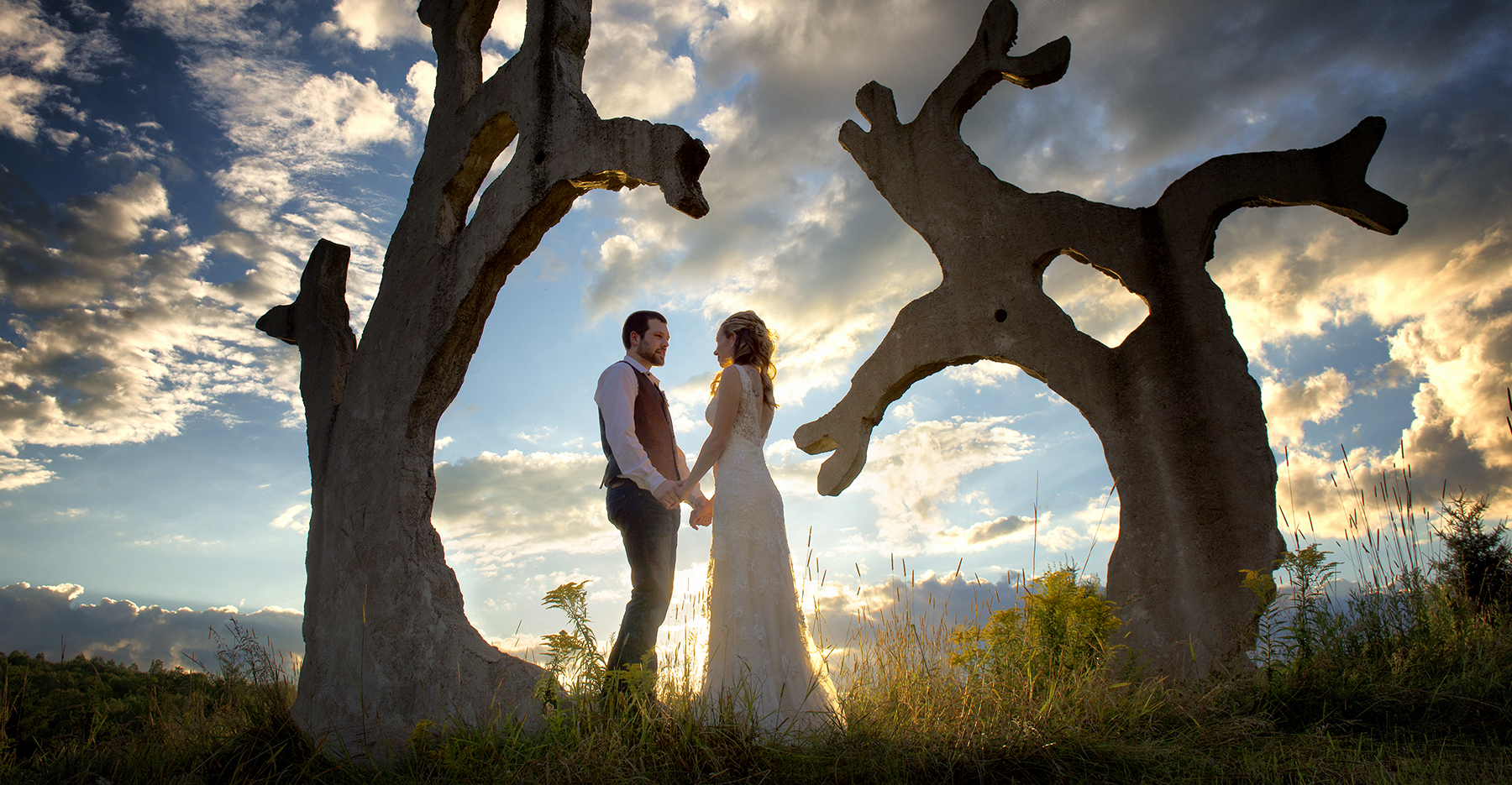 Catch-Light Photography